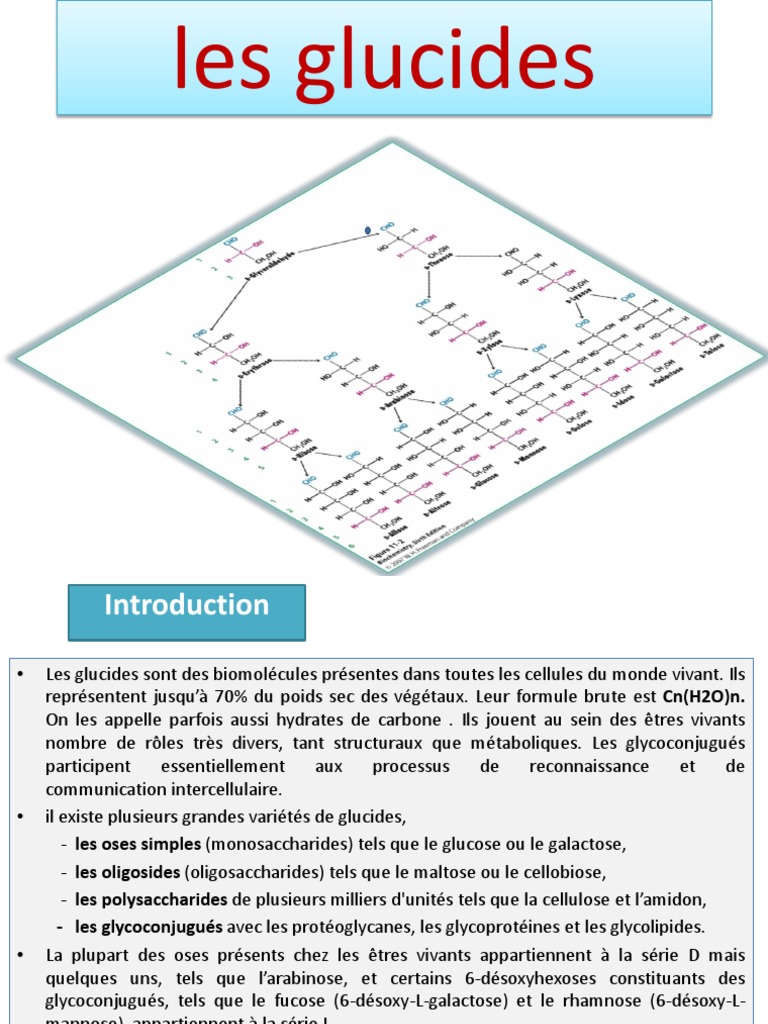 Classification et rôles des glucides | PDF | Glucide | Isomère