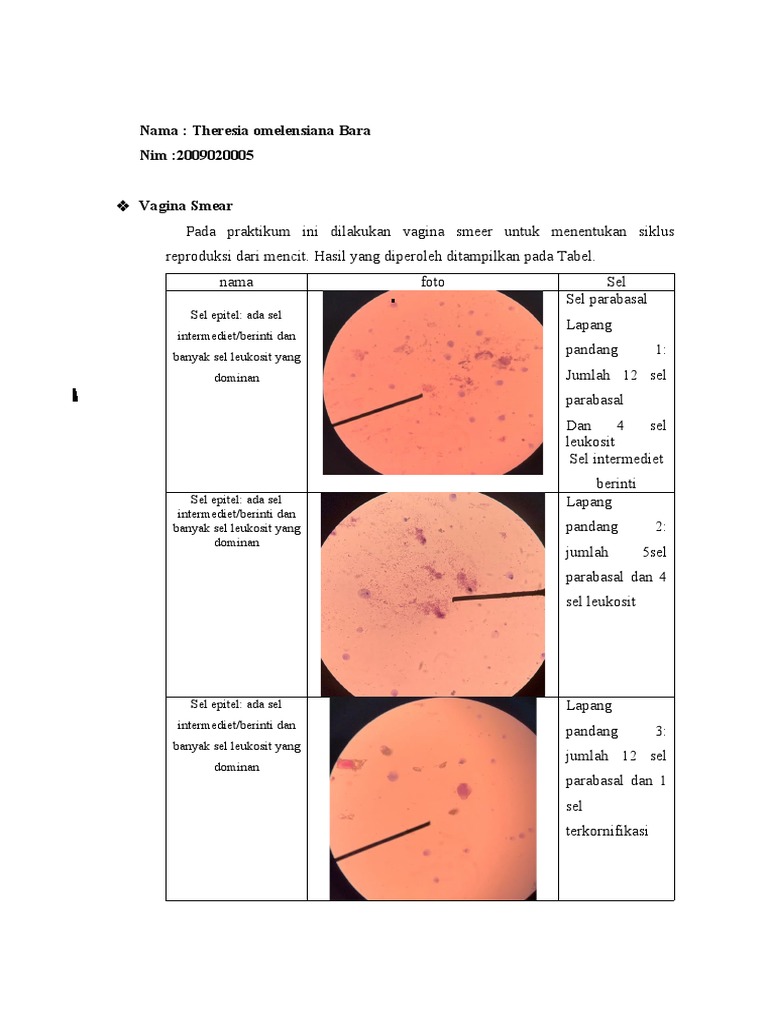 Gambar Vagina Smear Pada Mencit | PDF