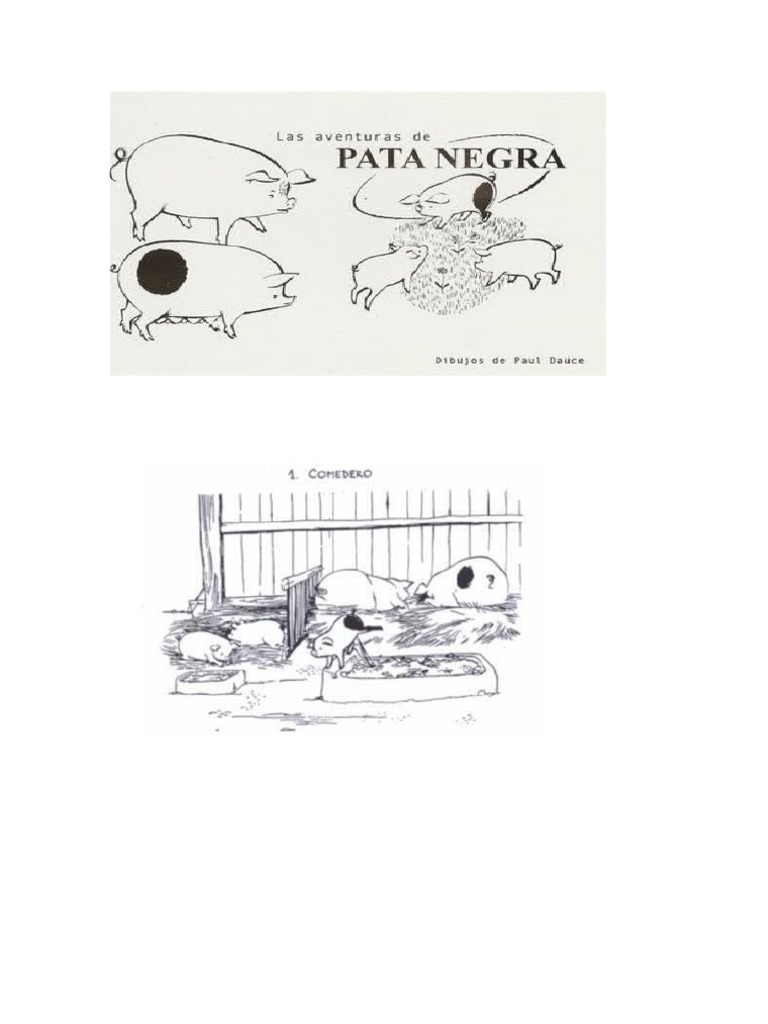 Test Pata Negra Laminas Integradas | PDF