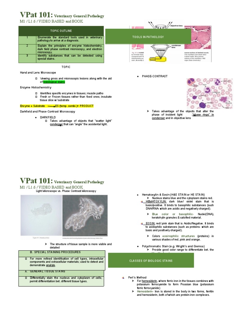 Vpat 101:: Veterinary General Pathology | PDF | Staining | Biology