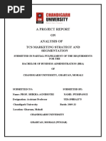 TCS Vision and Mission Overview | PDF | Brand | Corporate Social ...