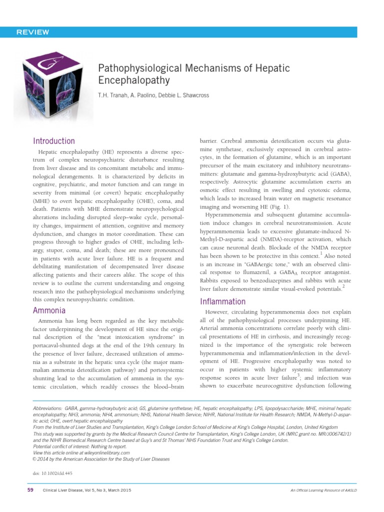 Pathophysiological Mechanisms of Hepatic Encephalopathy: Review | PDF ...