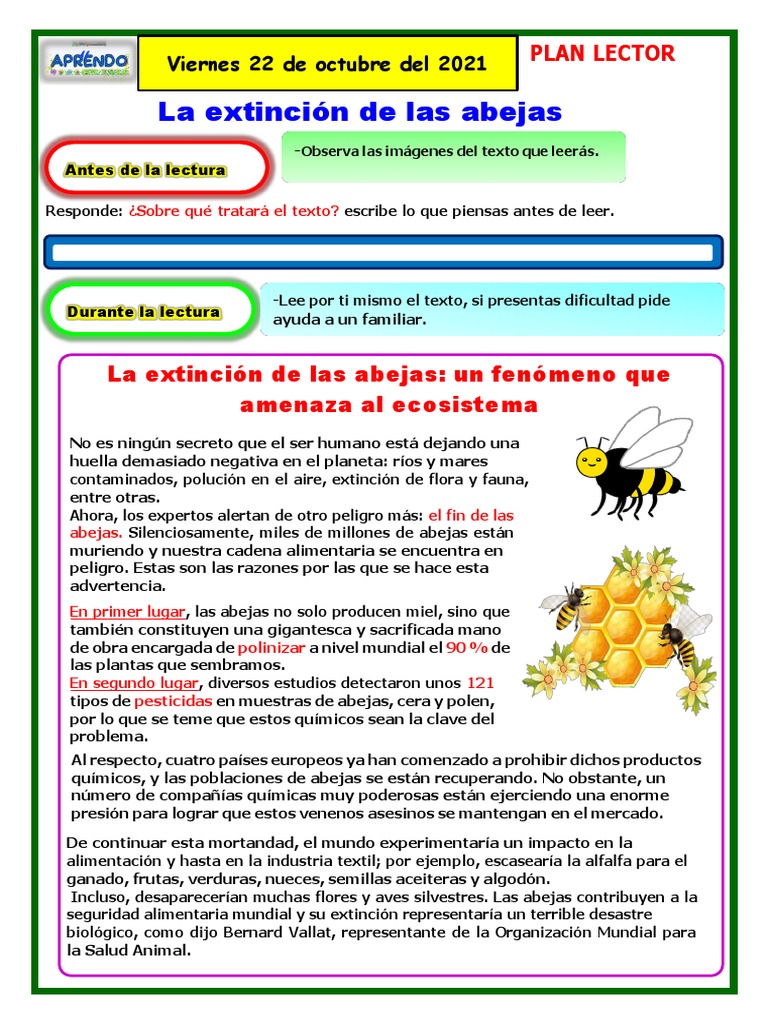 Ficha Plan Lector 1º | PDF | Abejas | Extinción