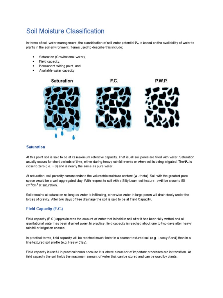 Soil Moisture Classification: Saturation | PDF | Loam | Soil