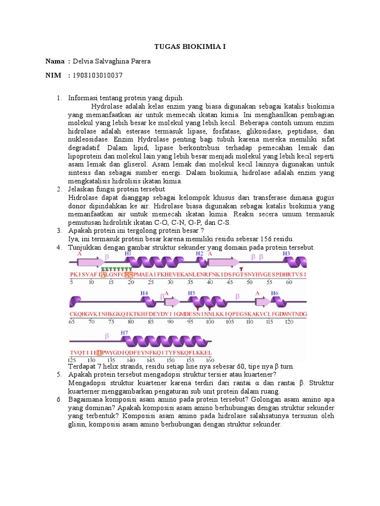 Tugas Struktur Dan Fungsi Protein | PDF