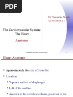 Structure of Human Heart | PDF