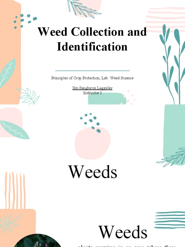 Weed Collection and Identification: Principles of Crop Protection, Lab ...
