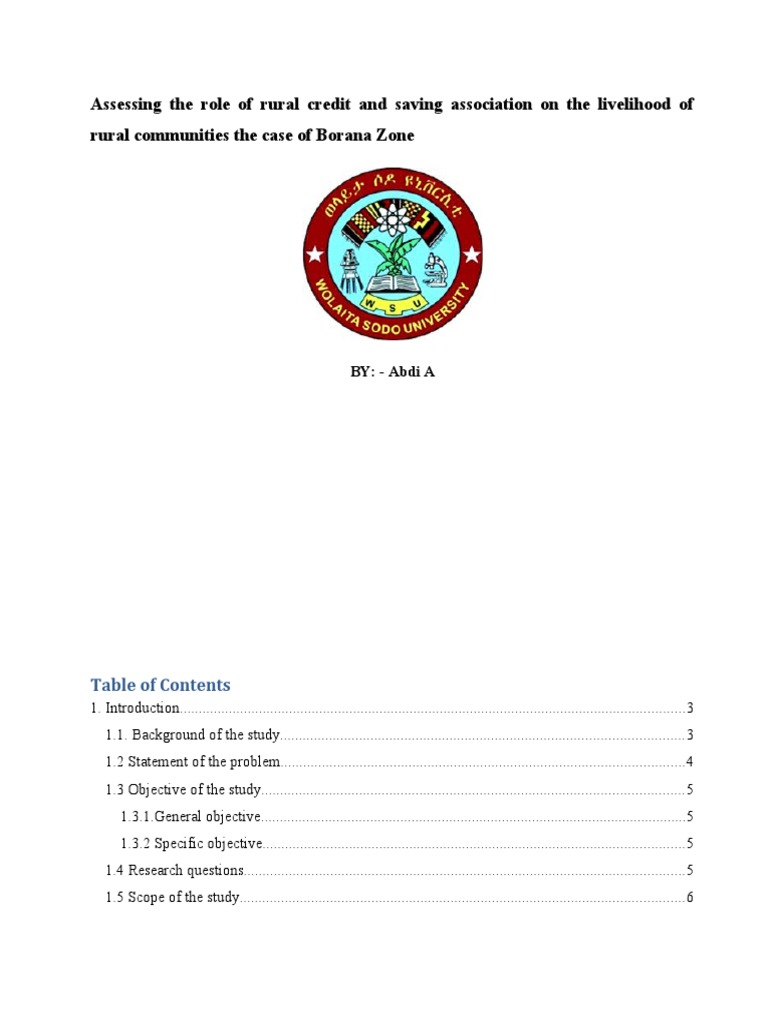 DEMEKECH Proposal PADM | PDF | Loans | Microfinance