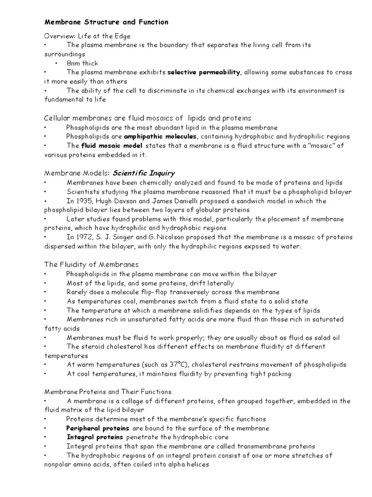 Membrane Structure and Function | PDF | Mitosis | Cell Membrane