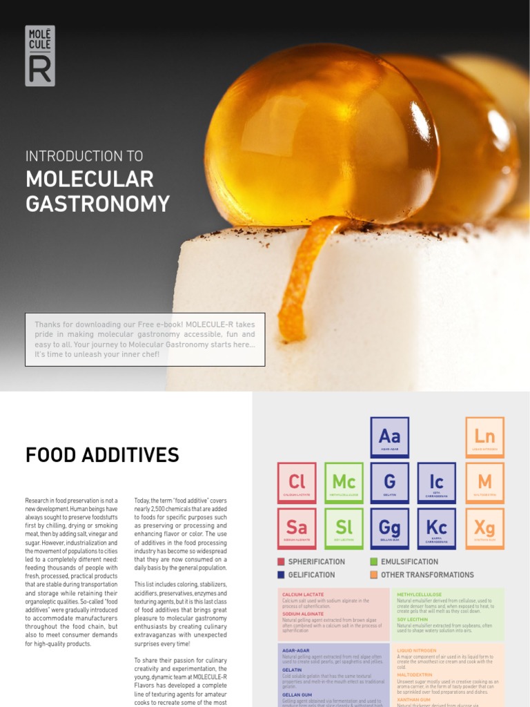 Molecular Gastronomy: Introduction To | Download Free PDF | Food ...