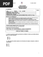 Prueba 5 Basico Recursos y Riesgos Naturales | PDF | Desarrollo ...