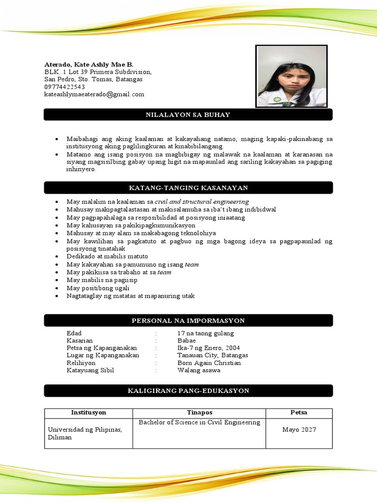 Example Resume | PDF