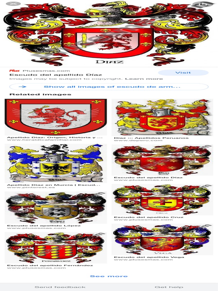 Escudo de Armas del Apellido Díaz | PDF | Los símbolos | Infografia