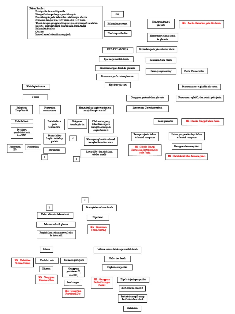 Woc Preeklampsia | PDF