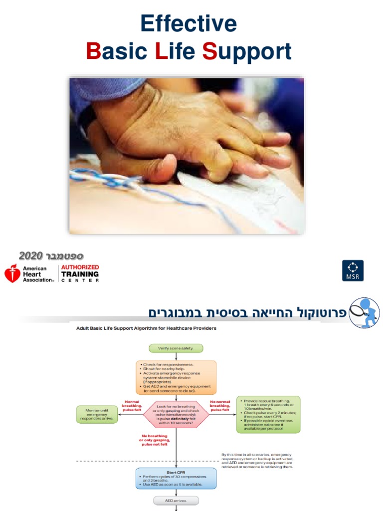 BLS 2020 - Lecture | PDF