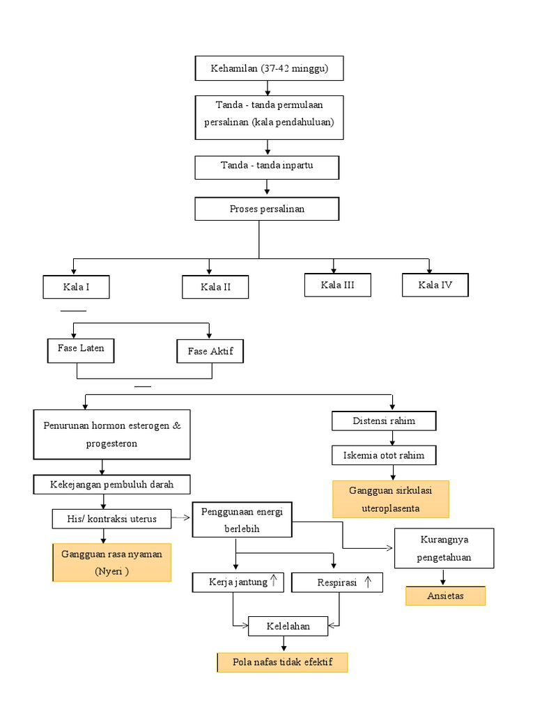 Pathway Kala 1 | PDF