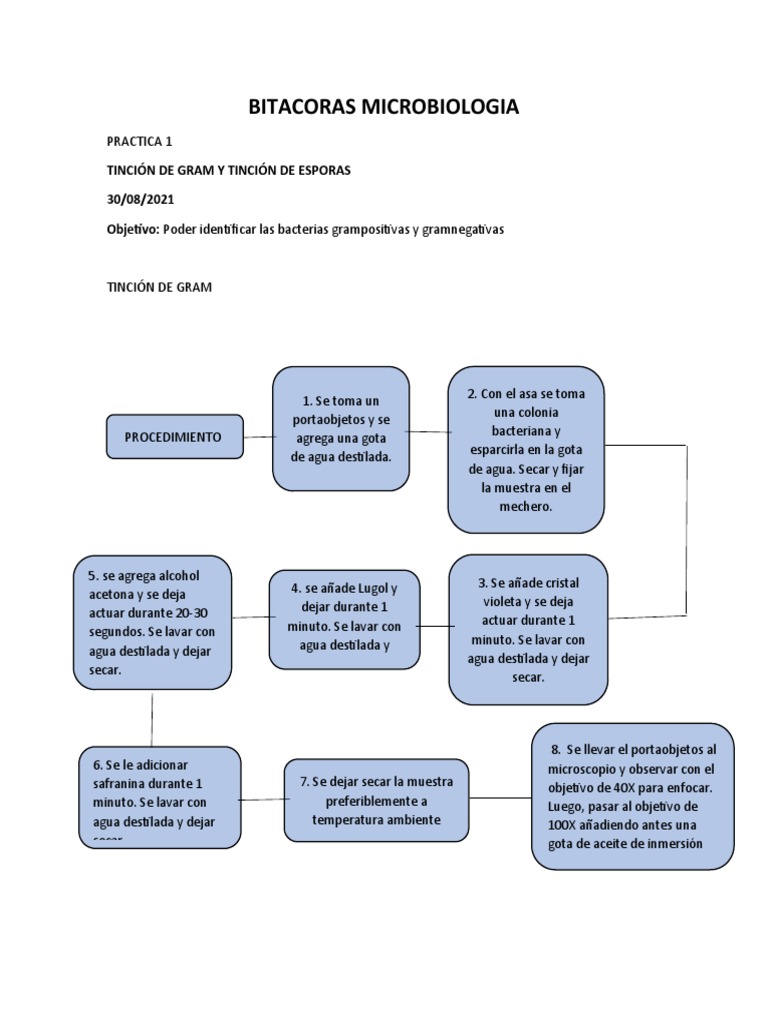 Bitacoras Microbiologia | PDF | Tinción | Microbiología