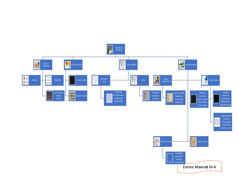 Gjuhet Dhe Grupet e Gjuheve | PDF
