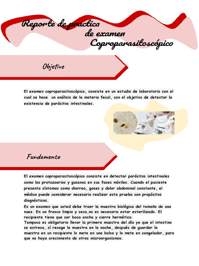 Reporte Examen Coproparasitoscopico | PDF