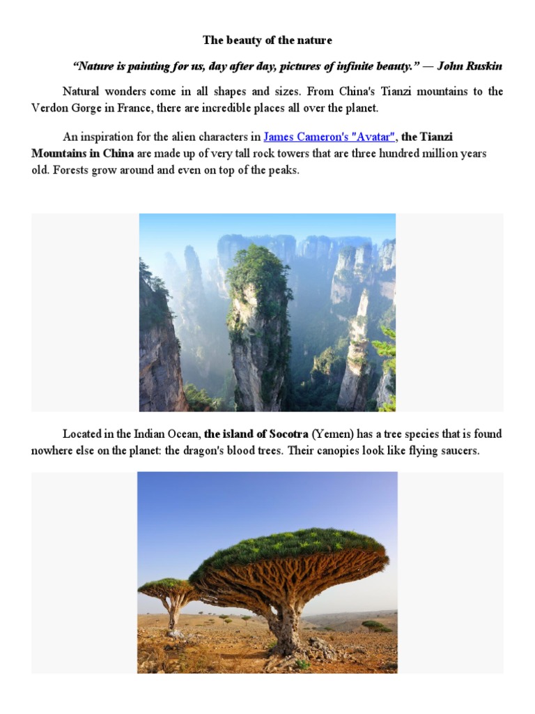 English Project The Beauty of The Nature | PDF