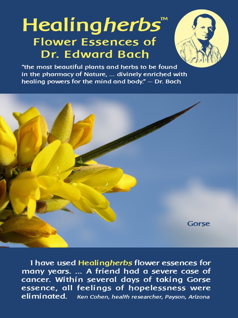 Healingherbs: Flower Essences of Dr. Edward Bach | PDF | Bach Flower ...