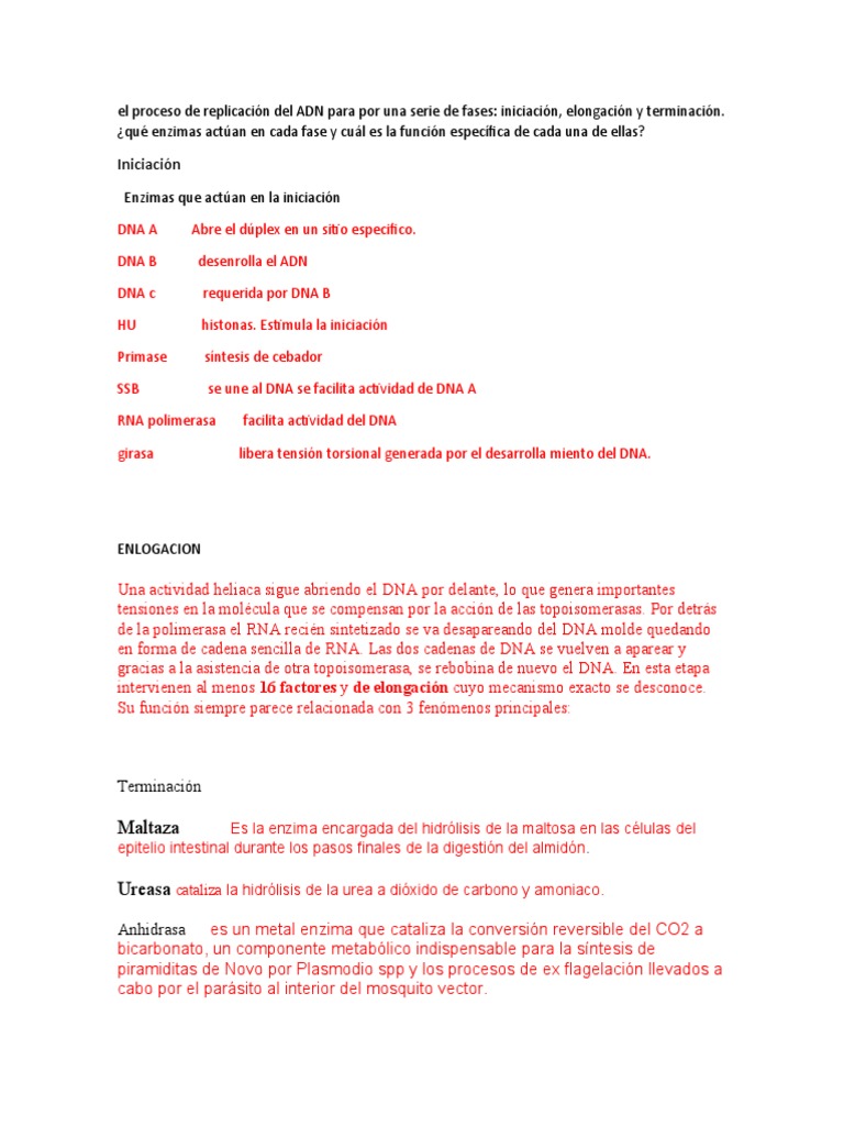 El Proceso de Replicación Del ADN para Por Una Serie de Fases | PDF