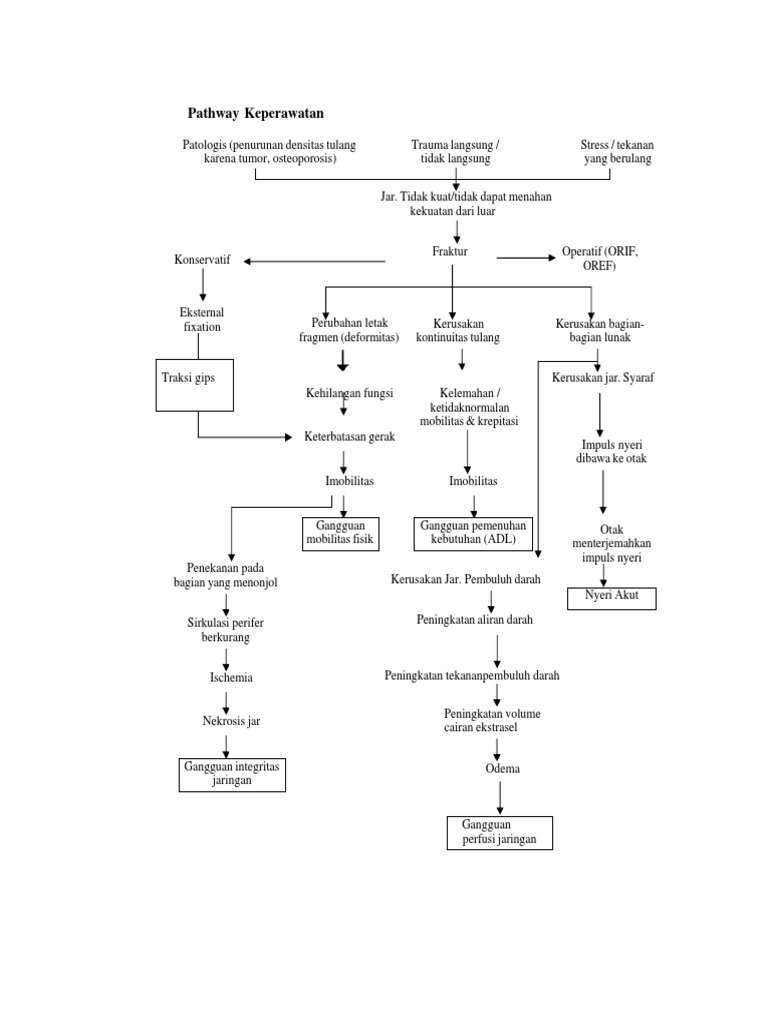Pathway Trauma Musculo Dan Survey Primary-Dikonversi | PDF