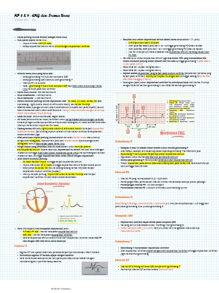 KP (8-9) Dr. Chandramin - EKG Dan Irama Sinus | PDF