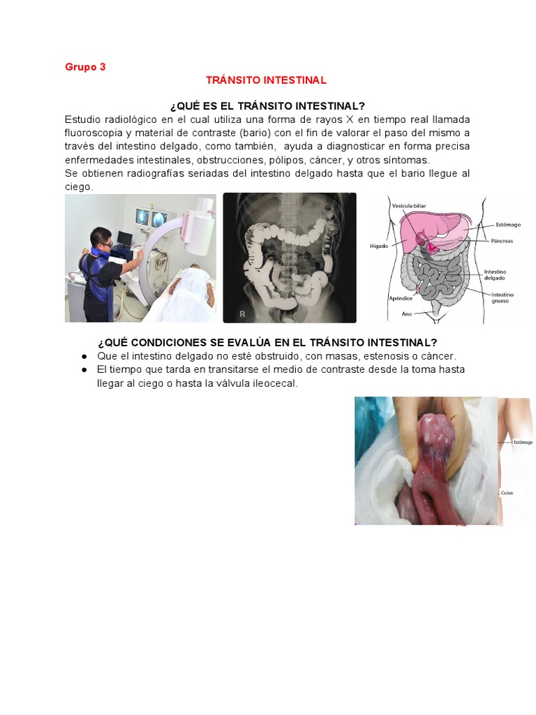 Estudio de Tránsito Intestinal con Bario | PDF | Radiología | Rayo X