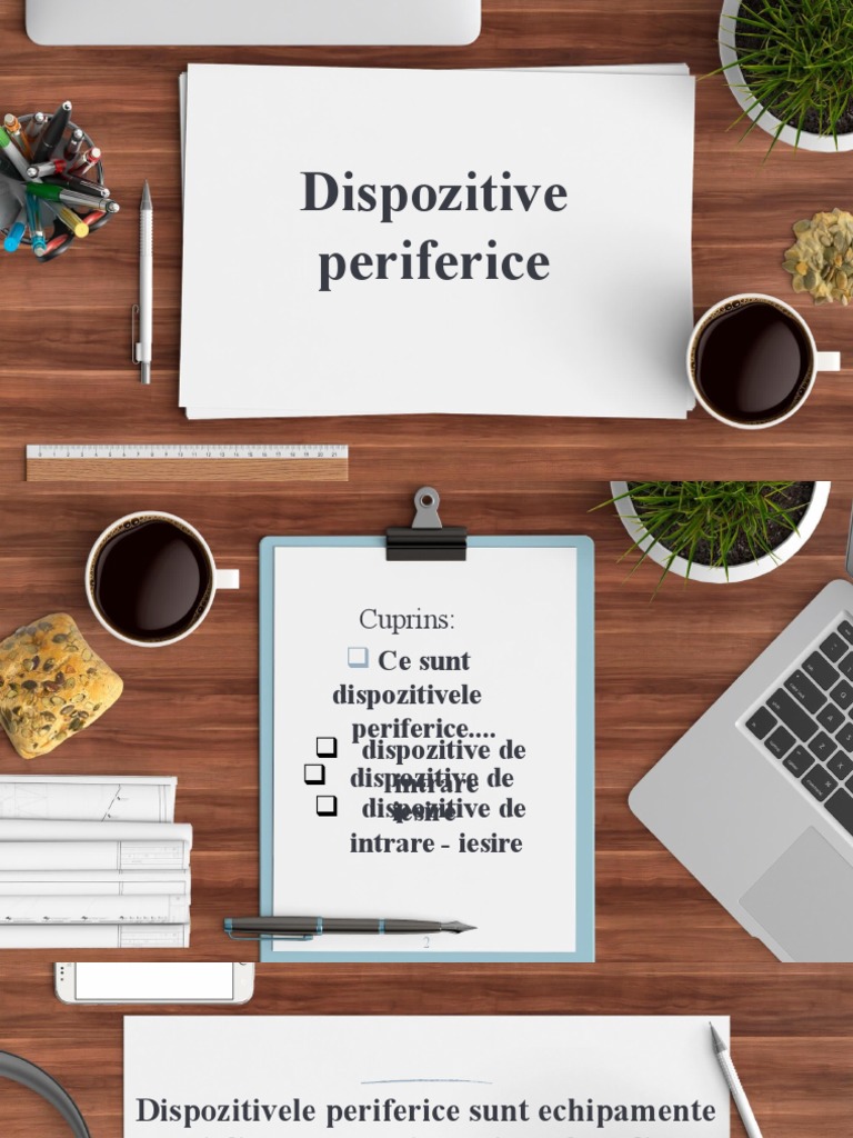 Dispozitive Periferice | PDF