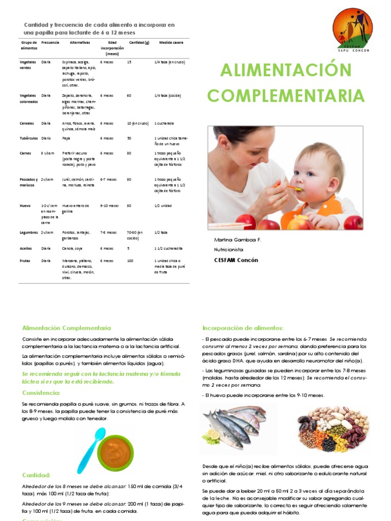 Pauta Alimentación Complementaria 6to Mes | PDF | Alimentos | Leche