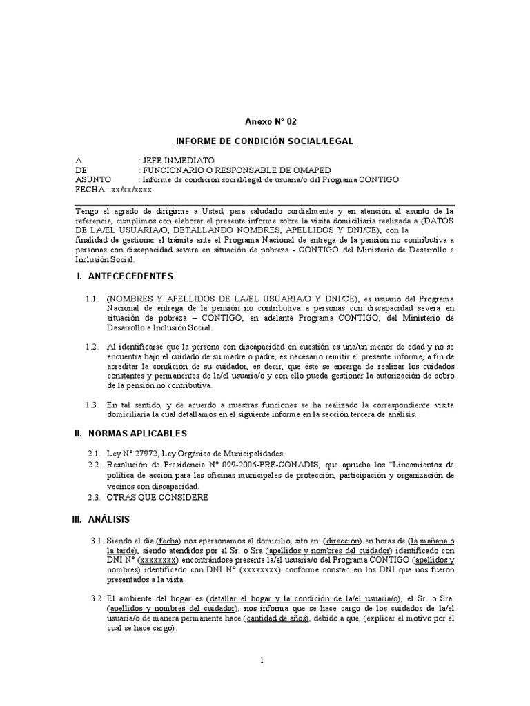 Modelo de Informe Social Legal | PDF