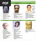 Tipos de Facies y sus Significados | PDF | Neoplasias | Cáncer