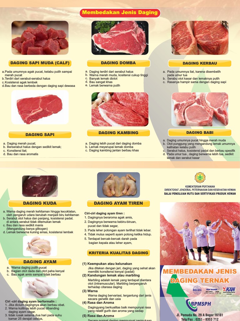 Karakteristik dan Jenis Daging | PDF