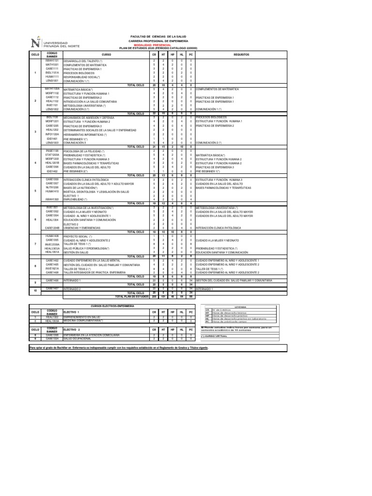 Malla Enfermeria | PDF | Enfermería | Cuidado de la salud