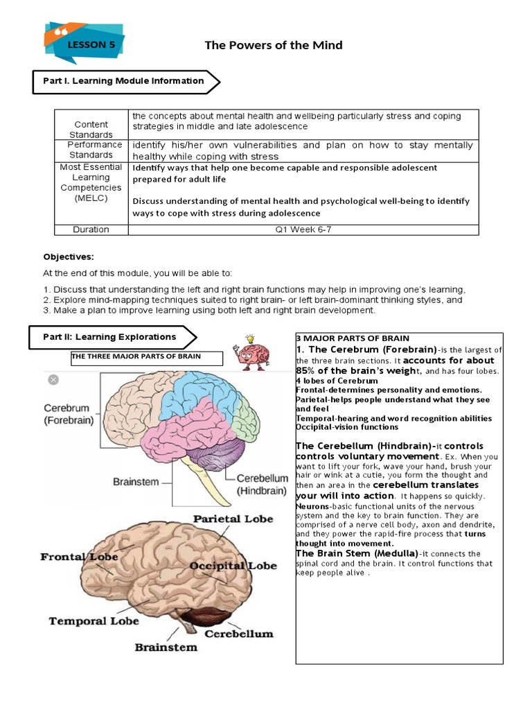 Lesson 5 - The Powers of The Mind | PDF | Brain | Neuron