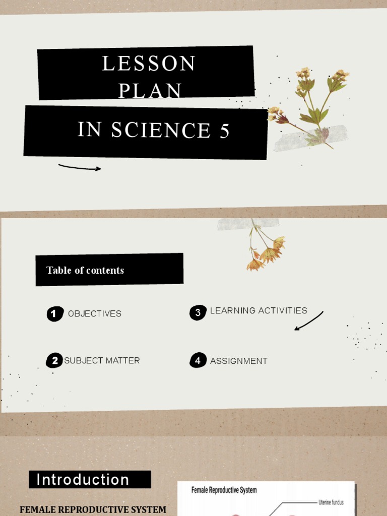 Female Reproductive Lesson Plan | PDF | Reproductive System | Gynaecology