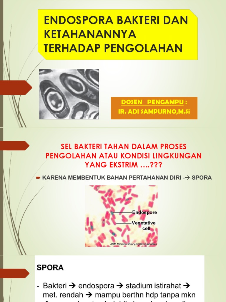 02-Endospora Bakteri Dan Ketahanannya Terhadap Pengolahan-2021 | PDF