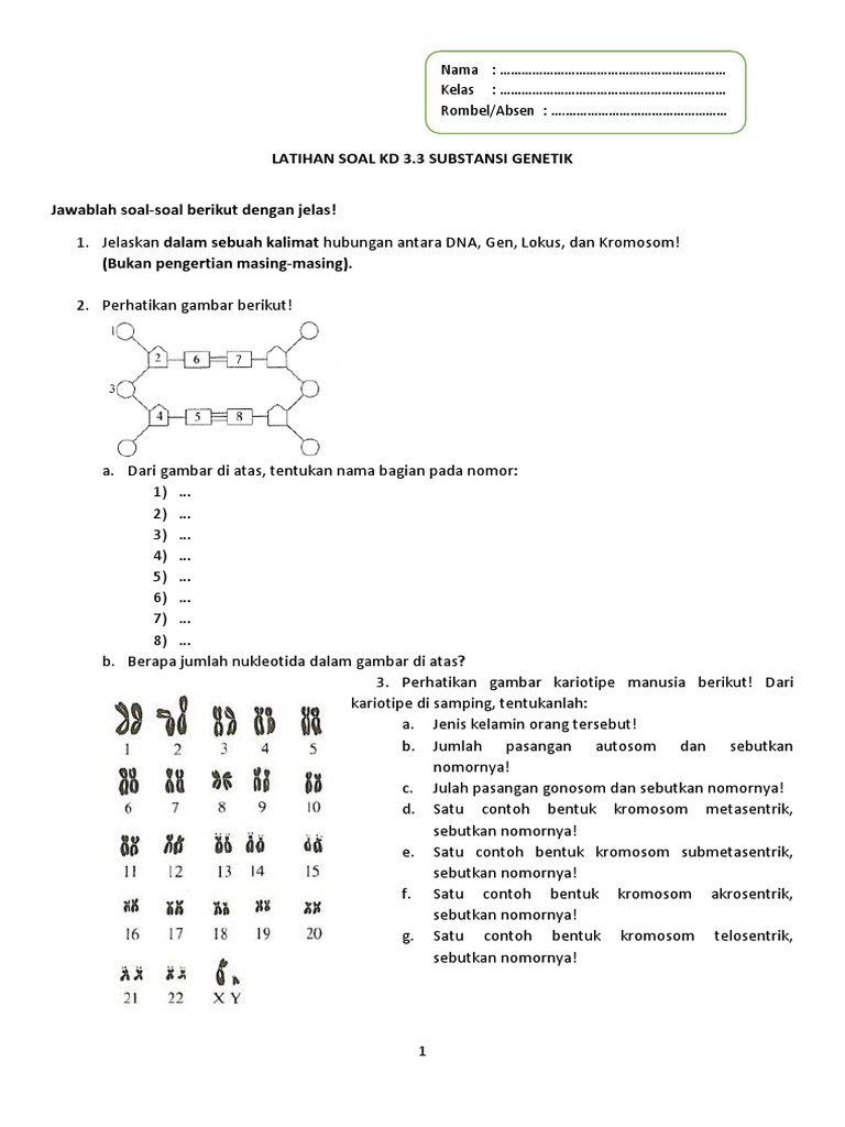 Latihan Soal KD 3 Substansi Genetik - Essay | PDF