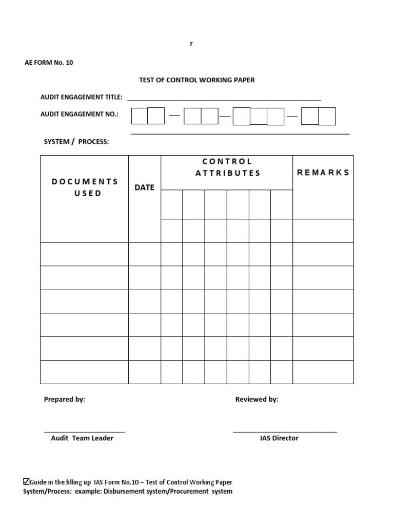 AE Form No. 10 Test of Control Working Paper | PDF | Business
