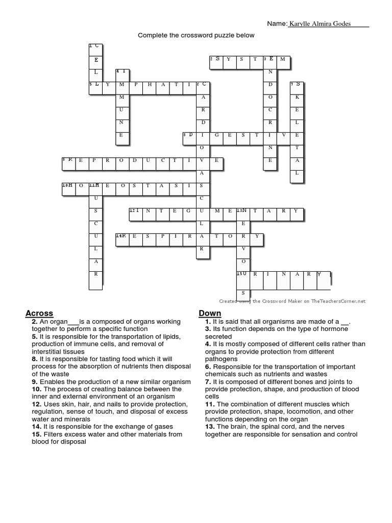 Anatomy Crossword | PDF | Biology | Anatomy