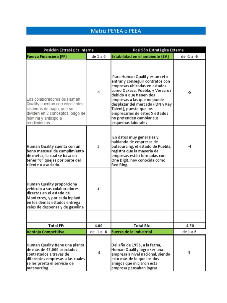 Ee Matriz Peyea | PDF | Outsourcing | Business