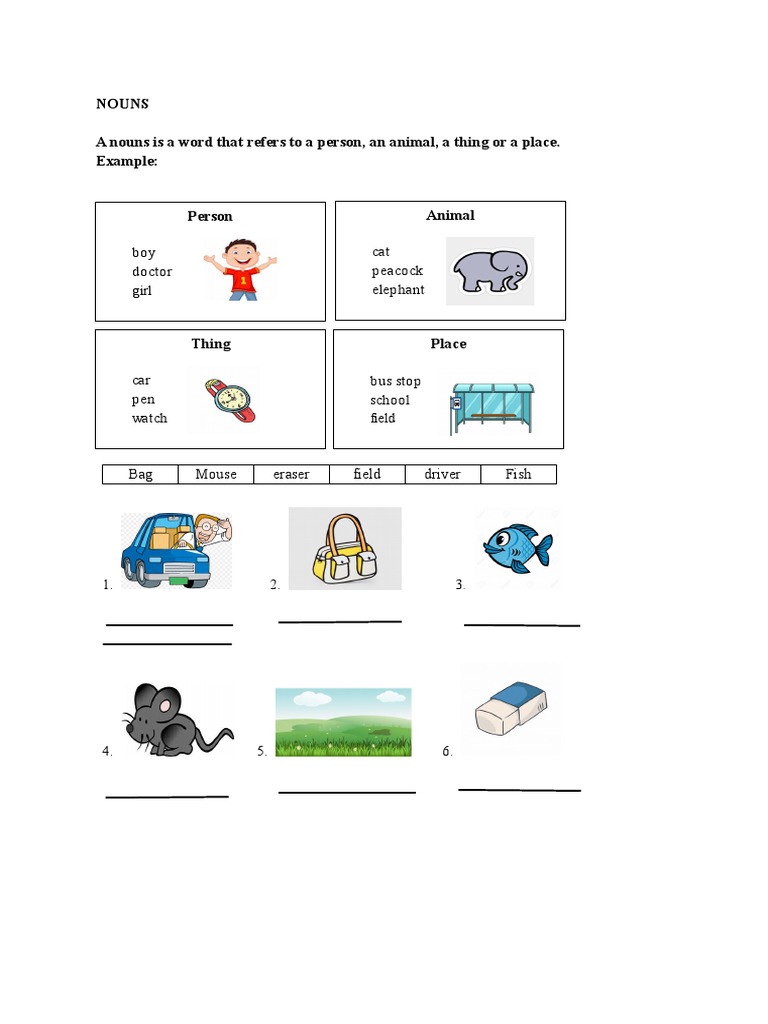 Nouns Exercise Level 1 +++ | PDF