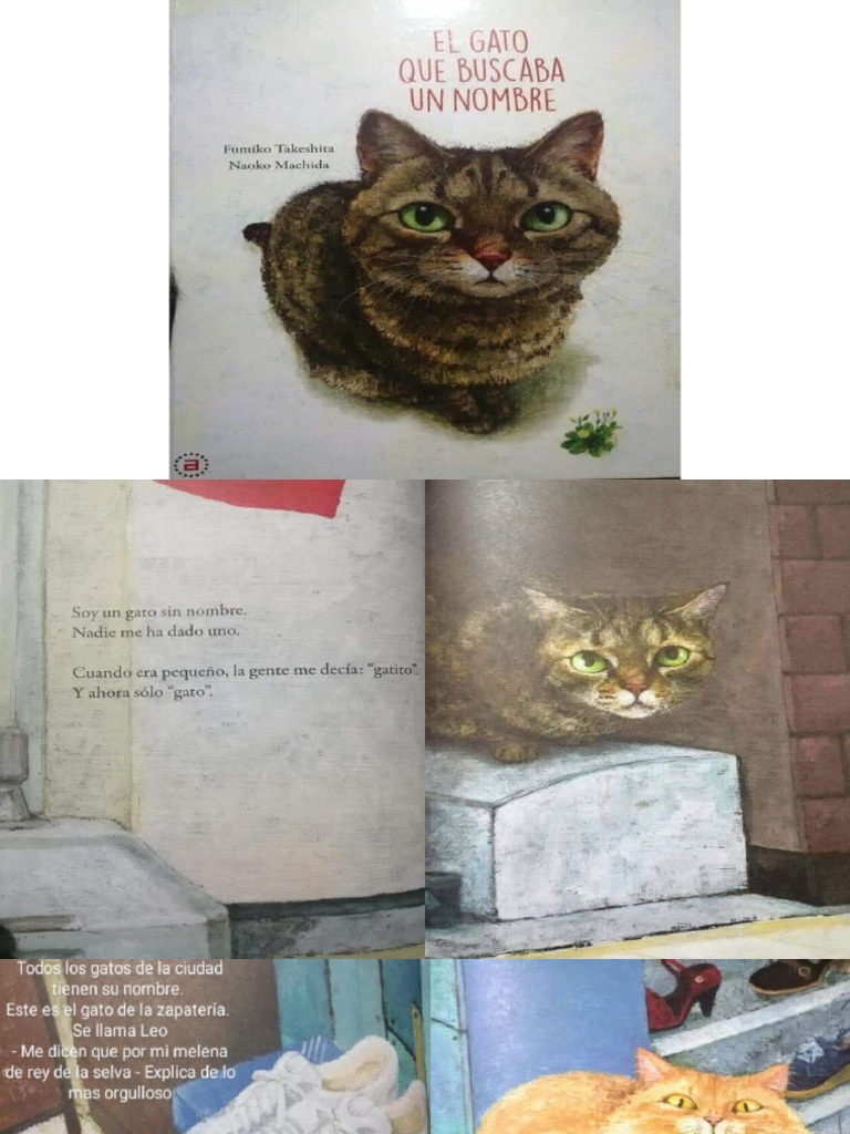 El Gato Que Buscaba Un Nombre | PDF