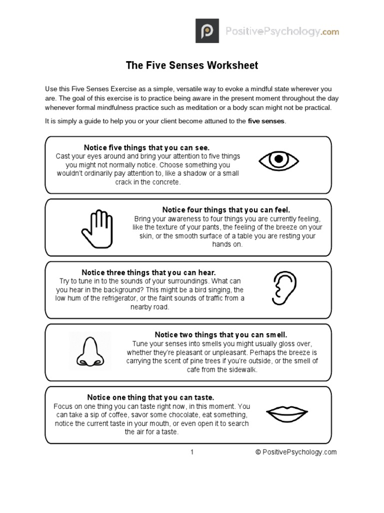 The Five Senses Worksheet: Notice Five Things That You Can See | PDF