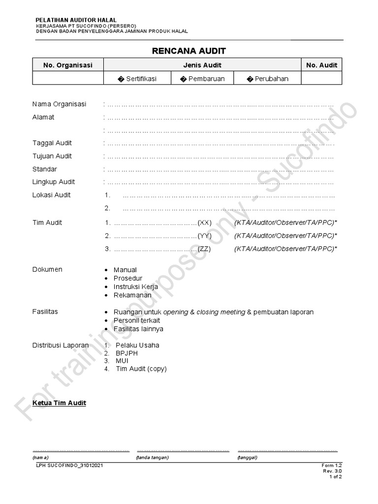 01 Contoh Audit Plan (SIMULASI) | PDF