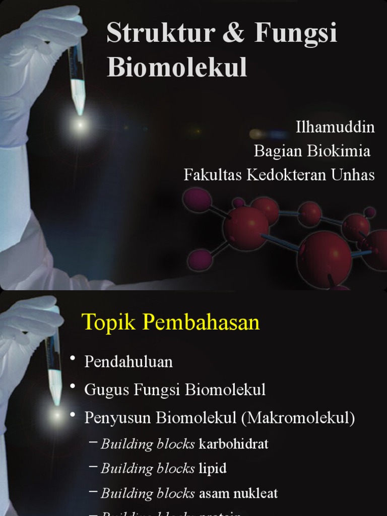 Struktur Dan Fungsi Biomolekul | PDF