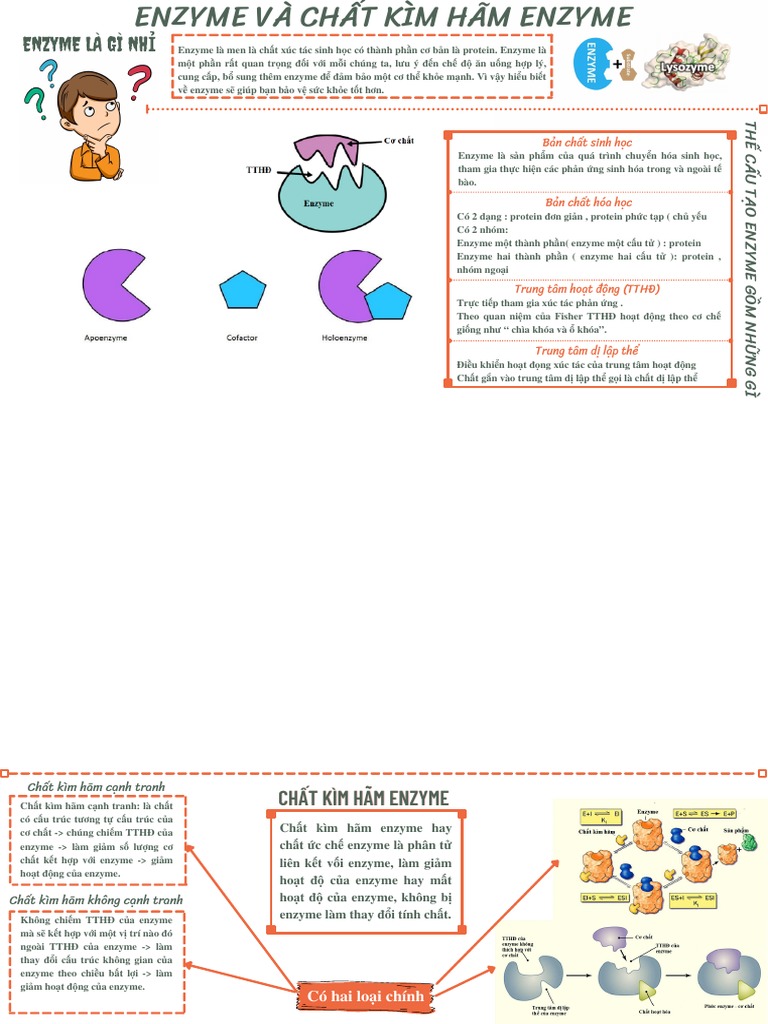 Chất kìm hãm enzyme | PDF