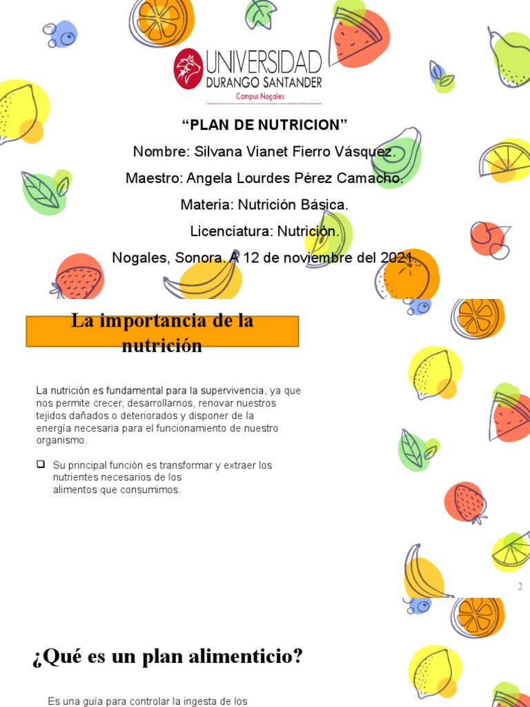 Exposicion, Plan Alimenticio. | PDF | Sacarosa | Dieta y nutrición