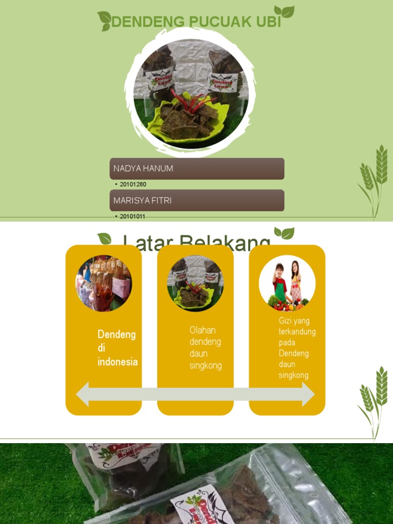Perencanaan Bisnis Dendeng Daun Singkong | PDF